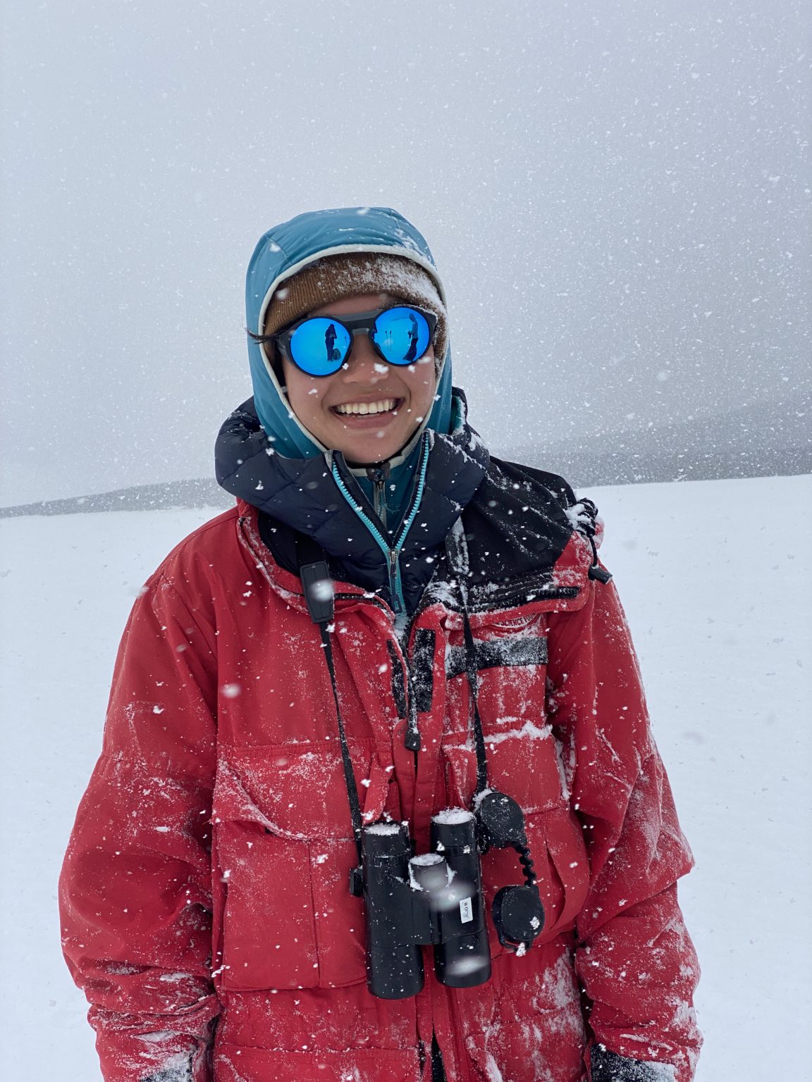 CALS graduate lands 'cool' research opportunity - UF/IFAS College of ...