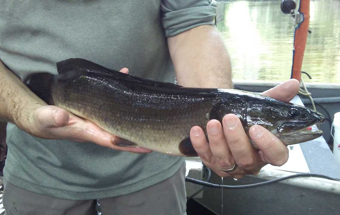 Under the SEAsons Greetings! - UF/IFAS Extension Charlotte County