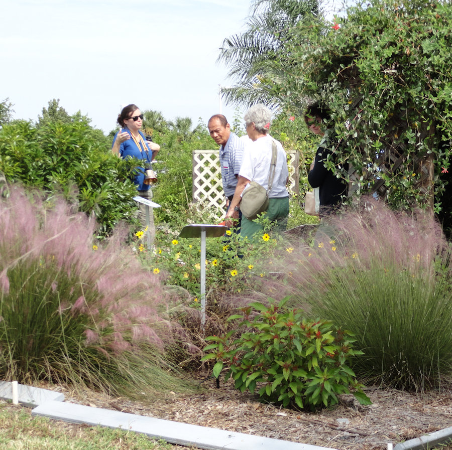 Starting over from scratch – the Florida-friendly landscaping™ way ...