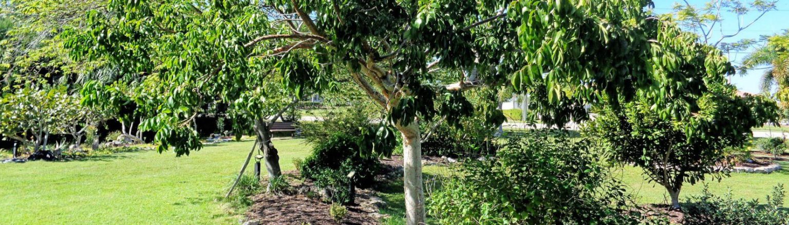 UF/IFAS Extension Charlotte County