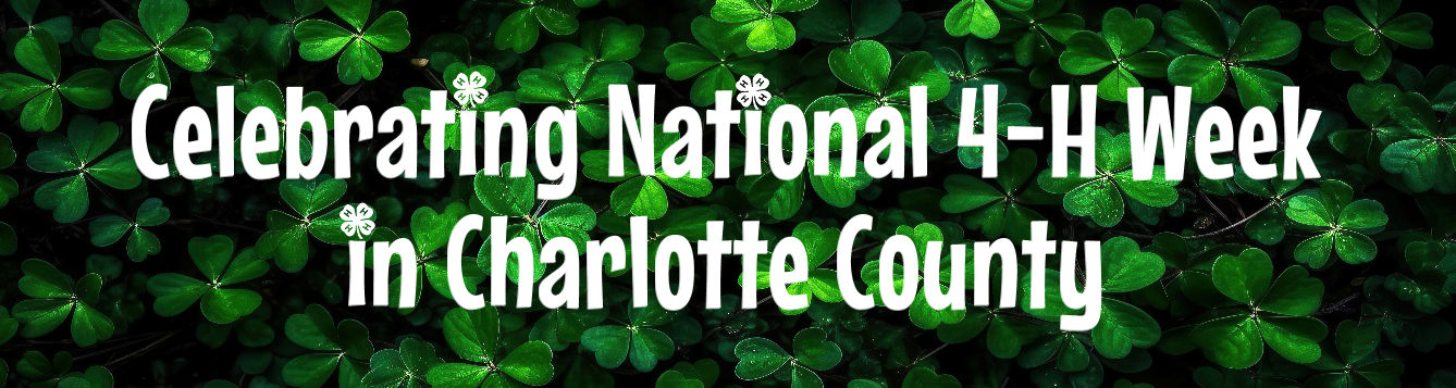 Celebrating National 4-H Week in Charlotte County: Embracing Spirit ...