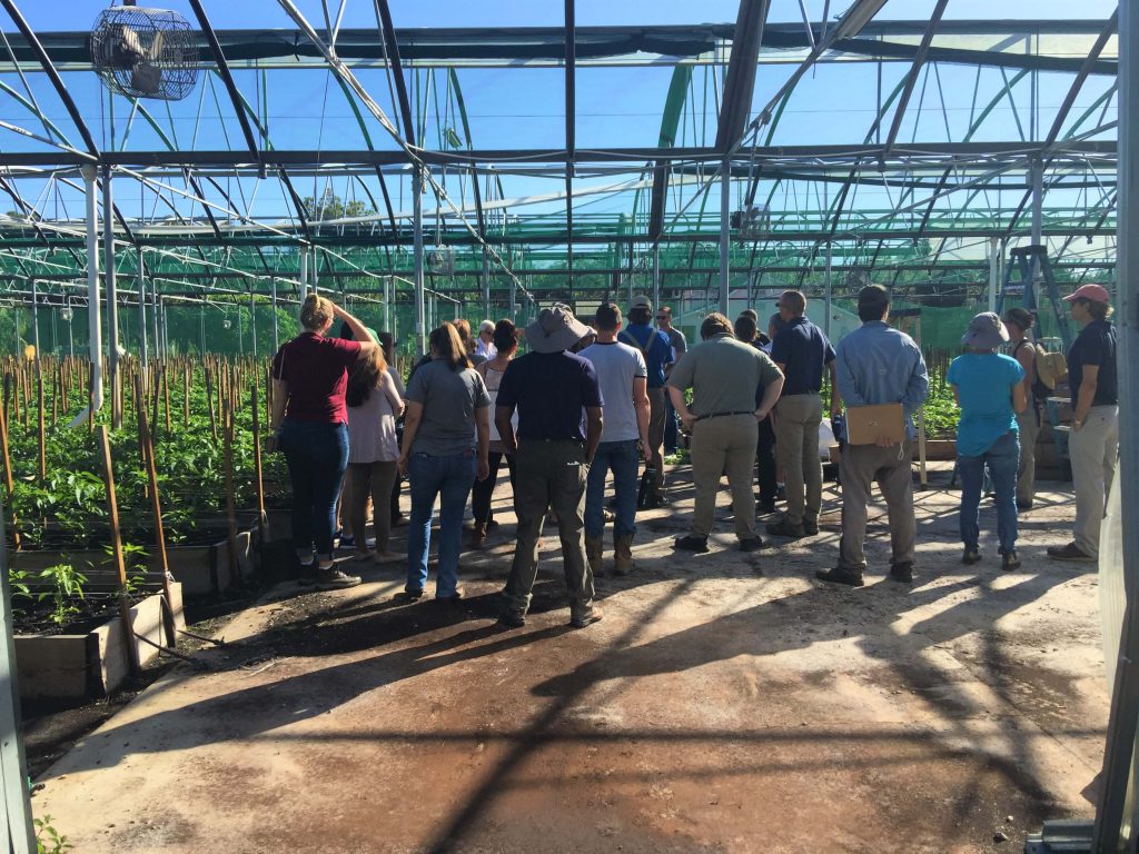 Southwest Florida Small Farmers Network Meeting Recap 2018 - UF/IFAS ...