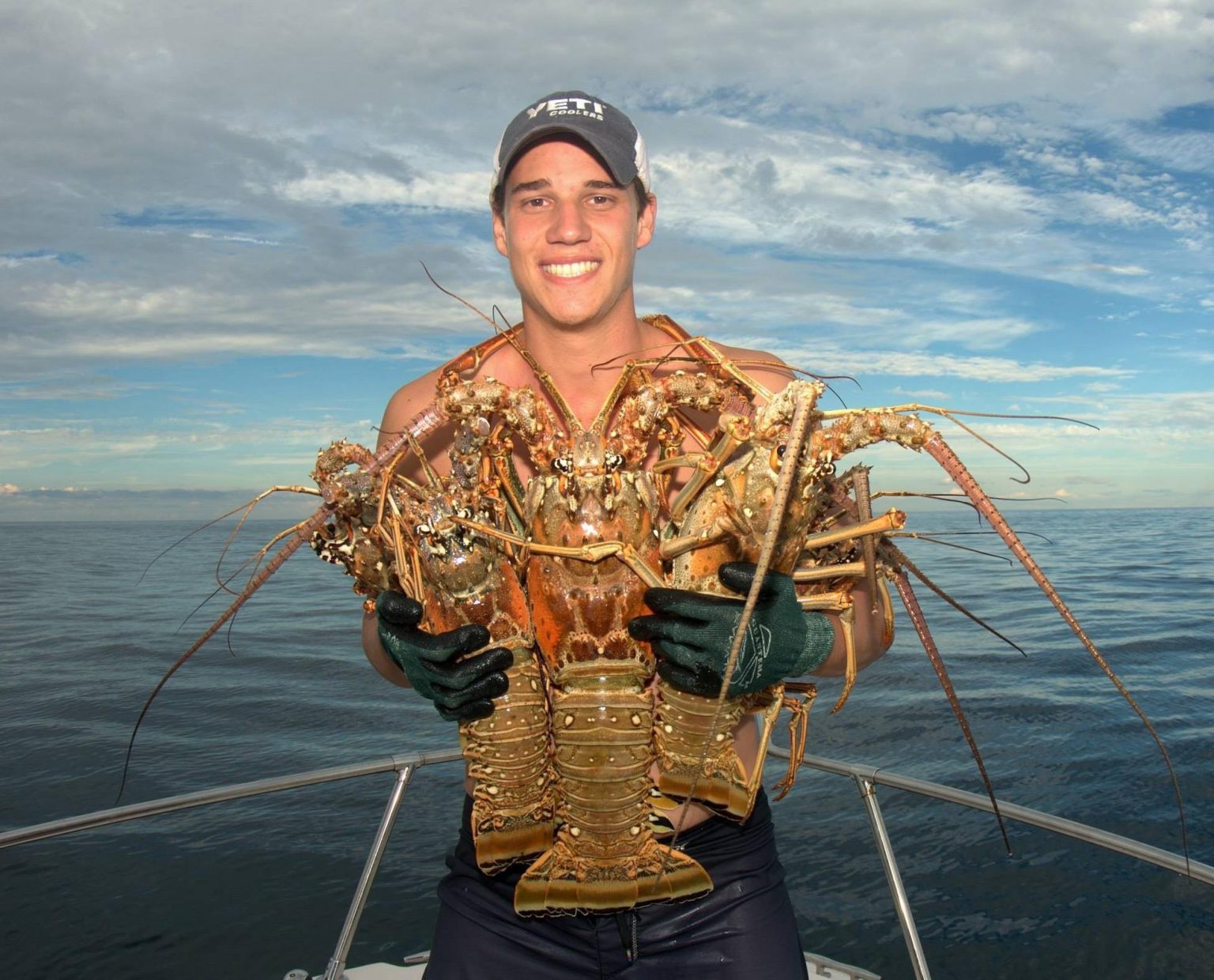 A Southwest Florida Guide to Everything You Want to Know About Spiny ...