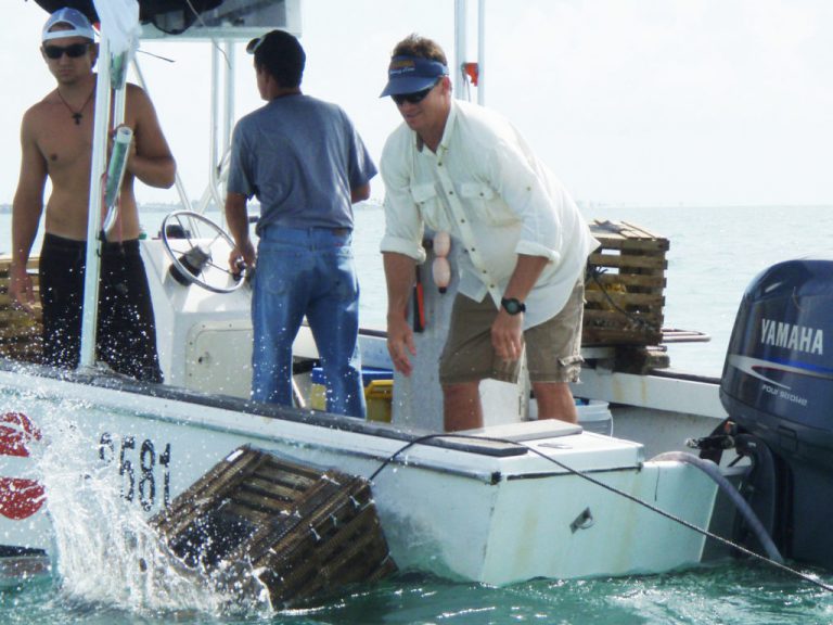 A Southwest Florida Guide to Everything You Want to Know About Spiny ...