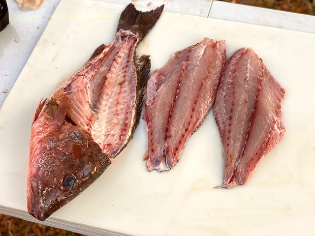 Smoking Fish With A Sea Grant Agent - UF/IFAS Extension Collier County