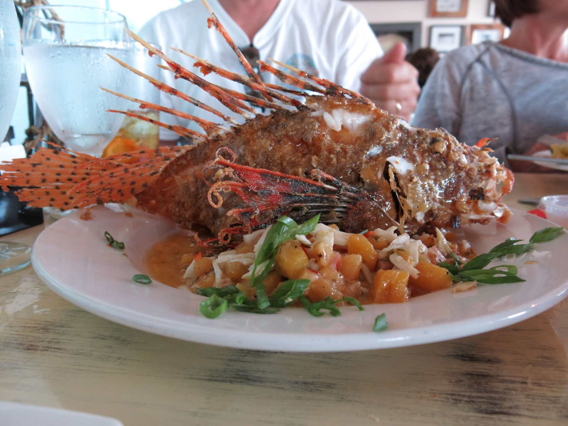 Florida Is So Nice Everything Wants To Live Here, Including Non-Native ...