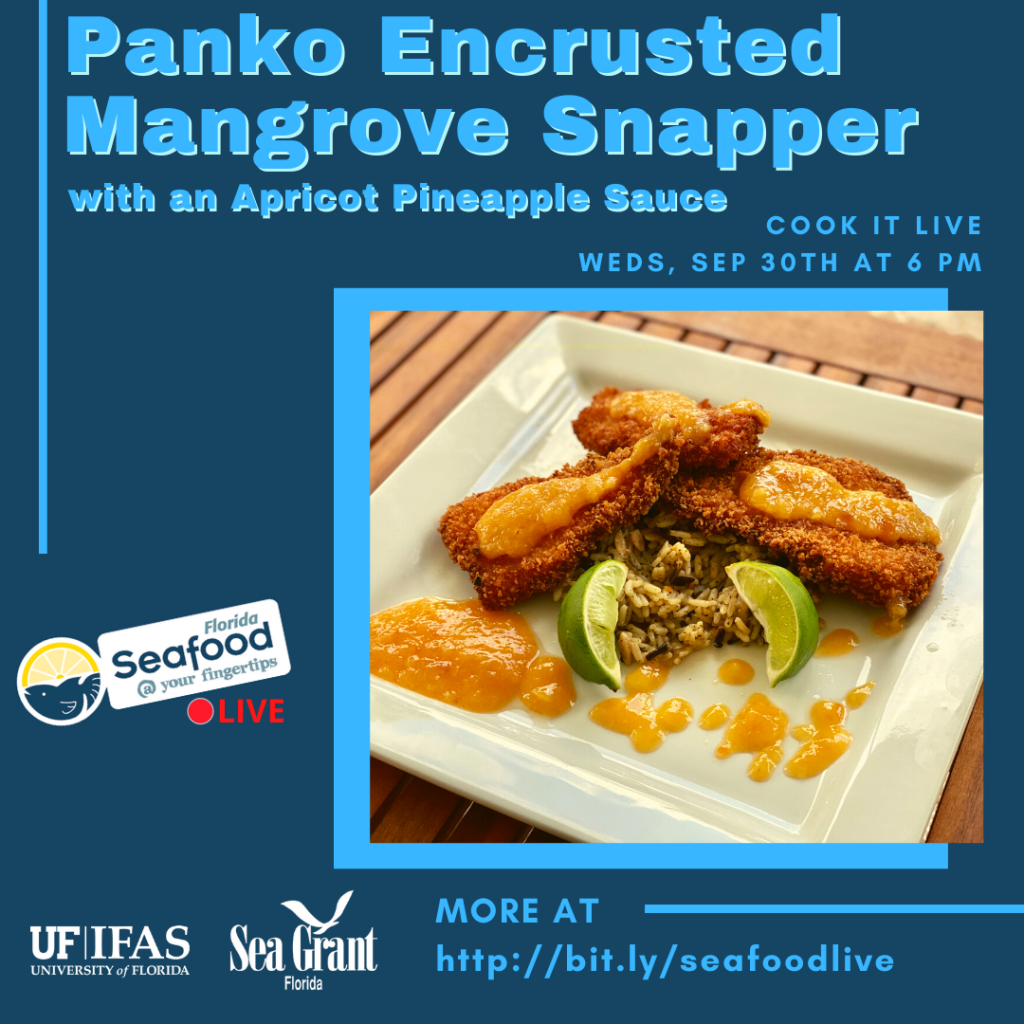 Panko Encrusted Mangrove Snapper with Apricot Pineapple Sauce! Florida ...