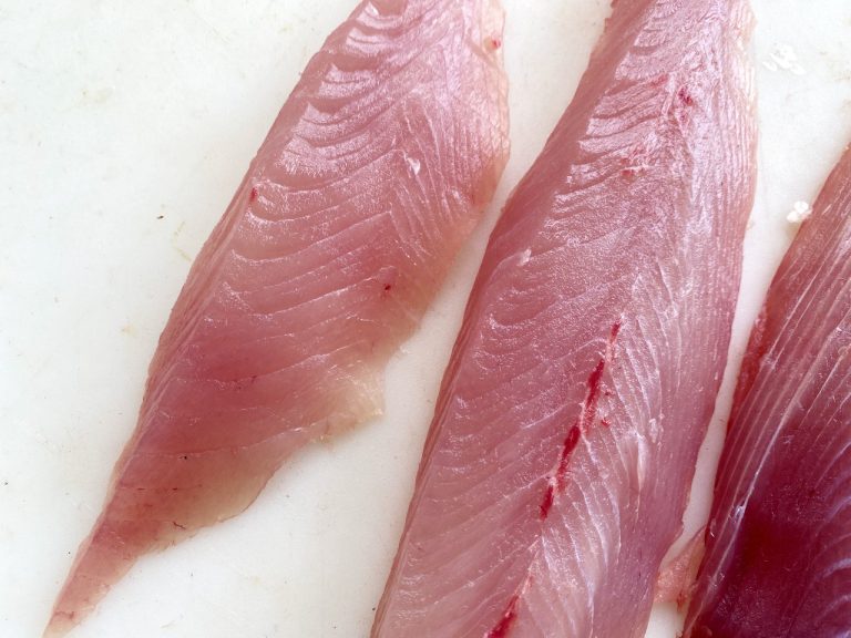 Fish of Florida: Almaco Jack (Seriola rivoliana) Species Profile - UF ...