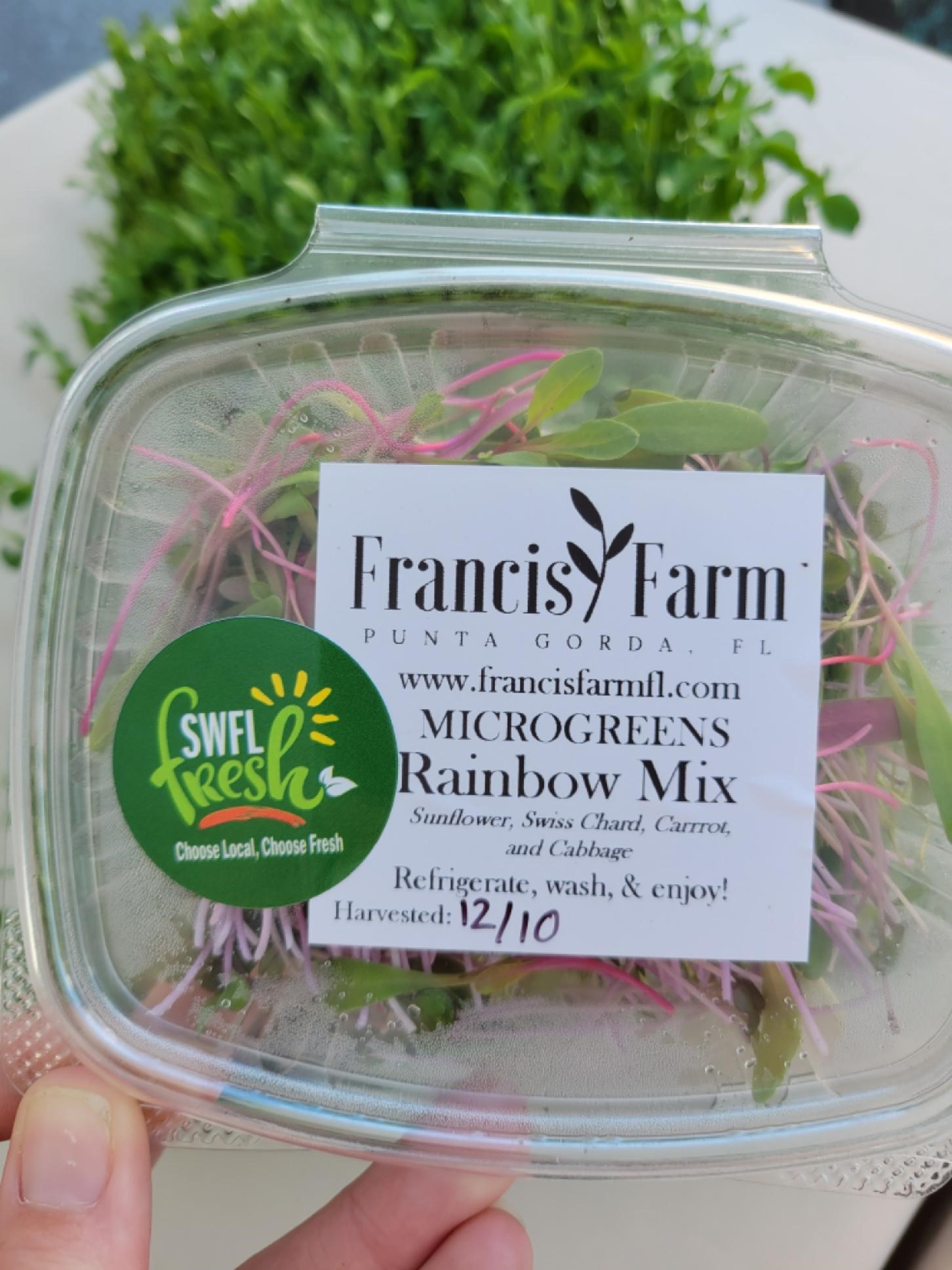 2023 Collier County Ag Tour & SWFL Fresh Kick-Off Event - UF/IFAS ...