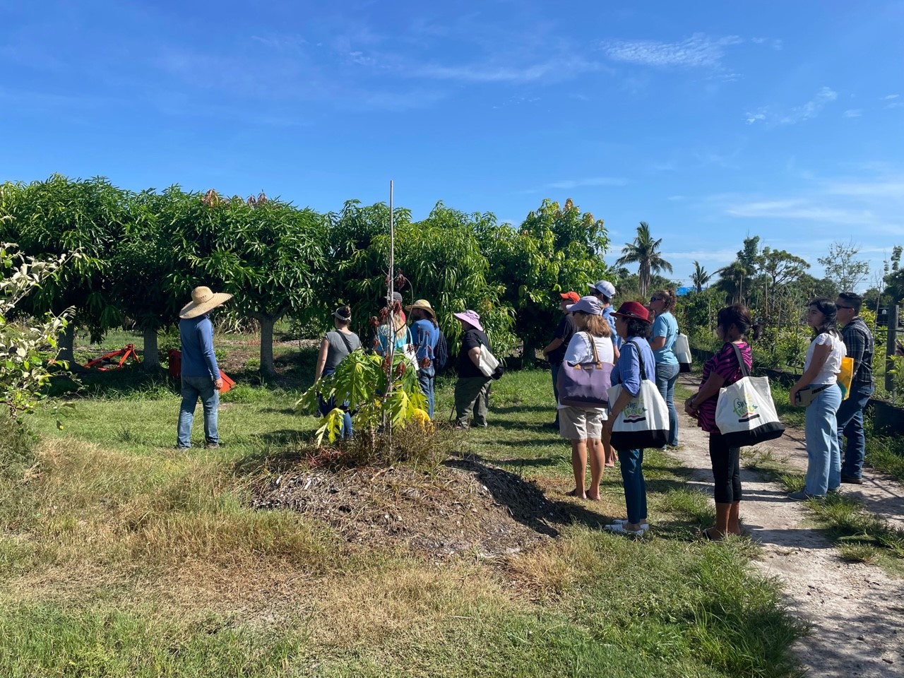 Recap: Summer SWFL Small Farmer Network Meeting on Pine Island - UF ...