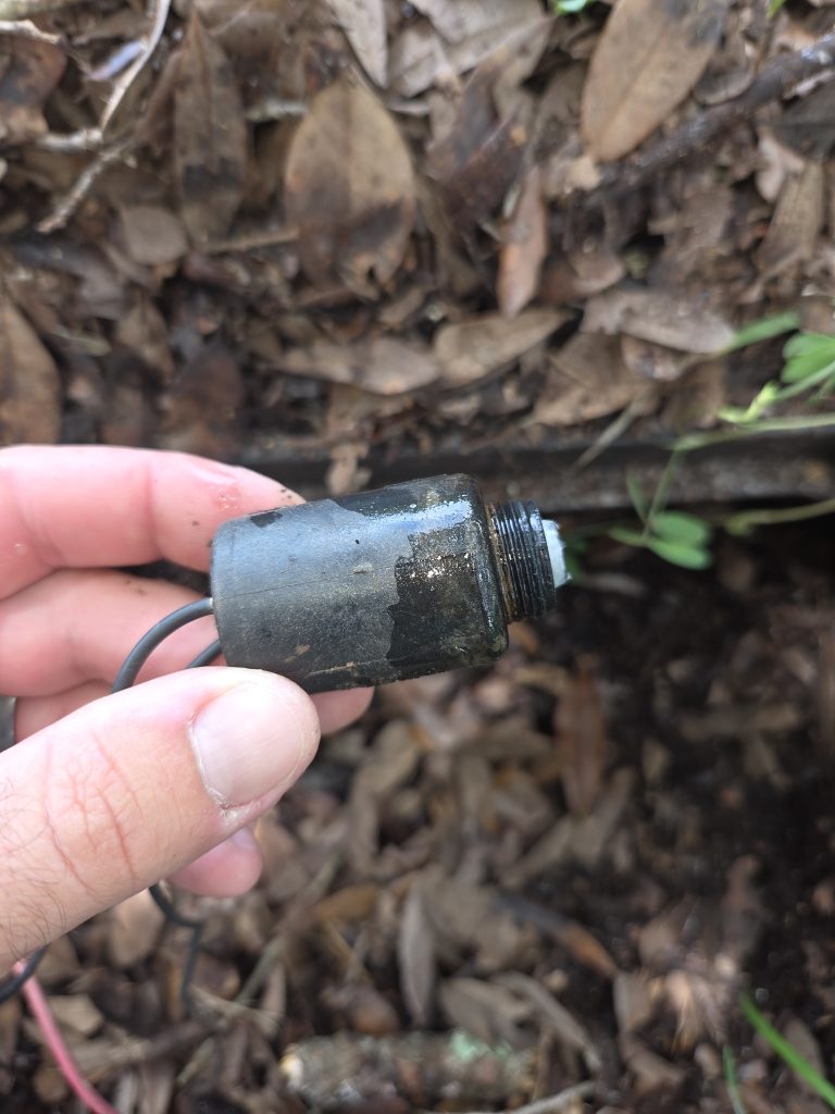 When Lightning Strikes More Than Just Tall Objects - UF/IFAS Extension ...