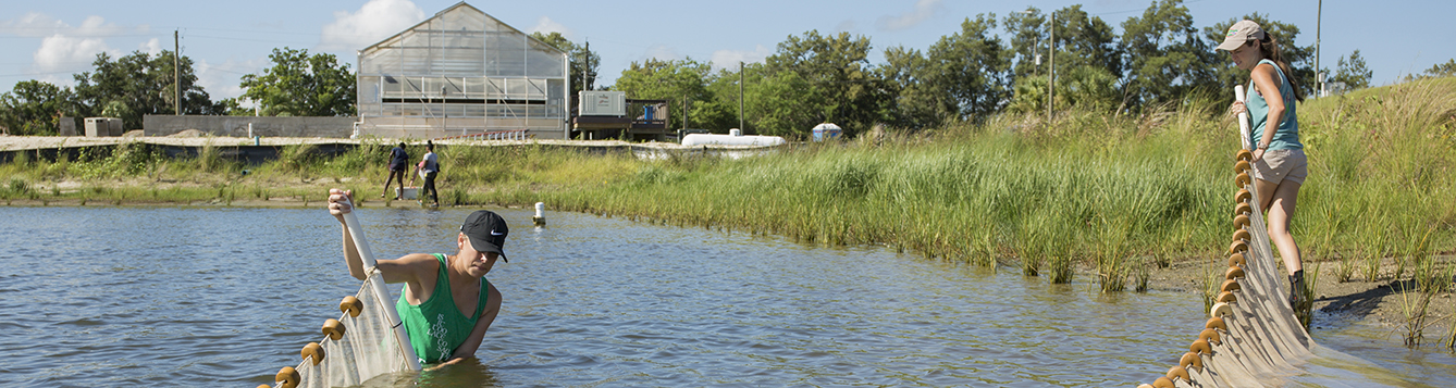 Students Learn about Florida Aquaculture and Seafood - UF/IFAS ...