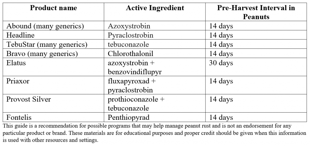 Peanut Rust - UF/IFAS Extension Columbia County