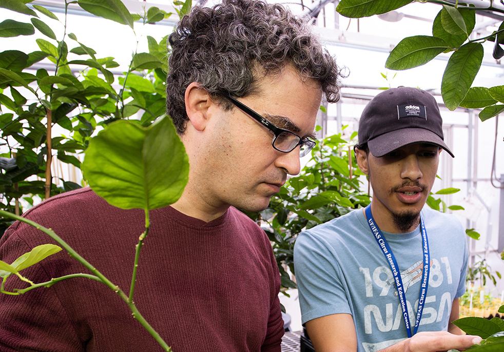Get to know us - Amit Levy - UF/IFAS Citrus Research and Education Center
