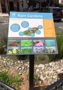 Build a Rain Garden and Use these Deluges For Good! - UF/IFAS Extension Duval County