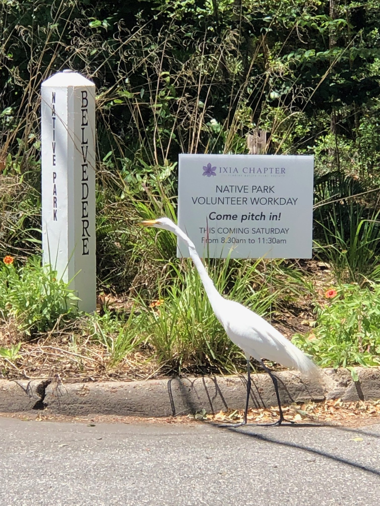 Jax Native Park Turns 100! - UF/IFAS Extension Duval County