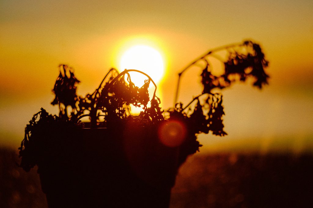 Know Your Heat Zone - UF/IFAS Extension Duval County