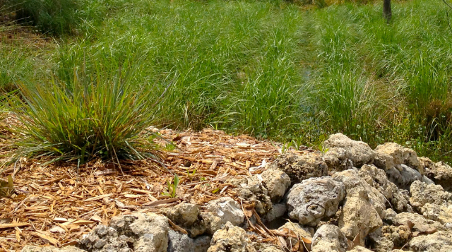 Mobile Irrigation Lab - UF/IFAS Extension