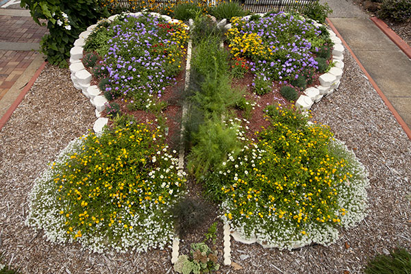 Butterfly Gardens for Florida - EDIS