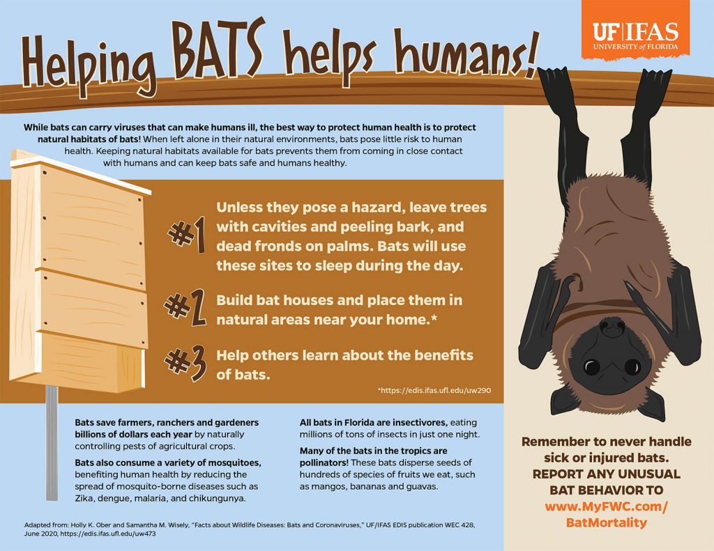 Going to Bat for Bats - EDIS