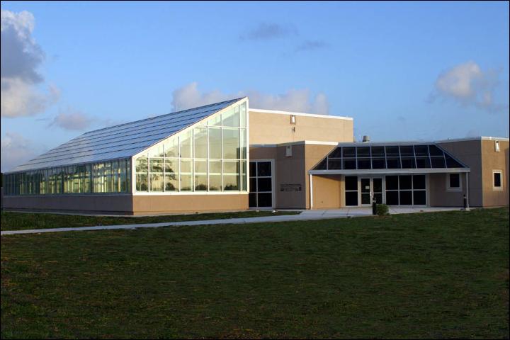 Biological Control Insects for Weeds - EDIS