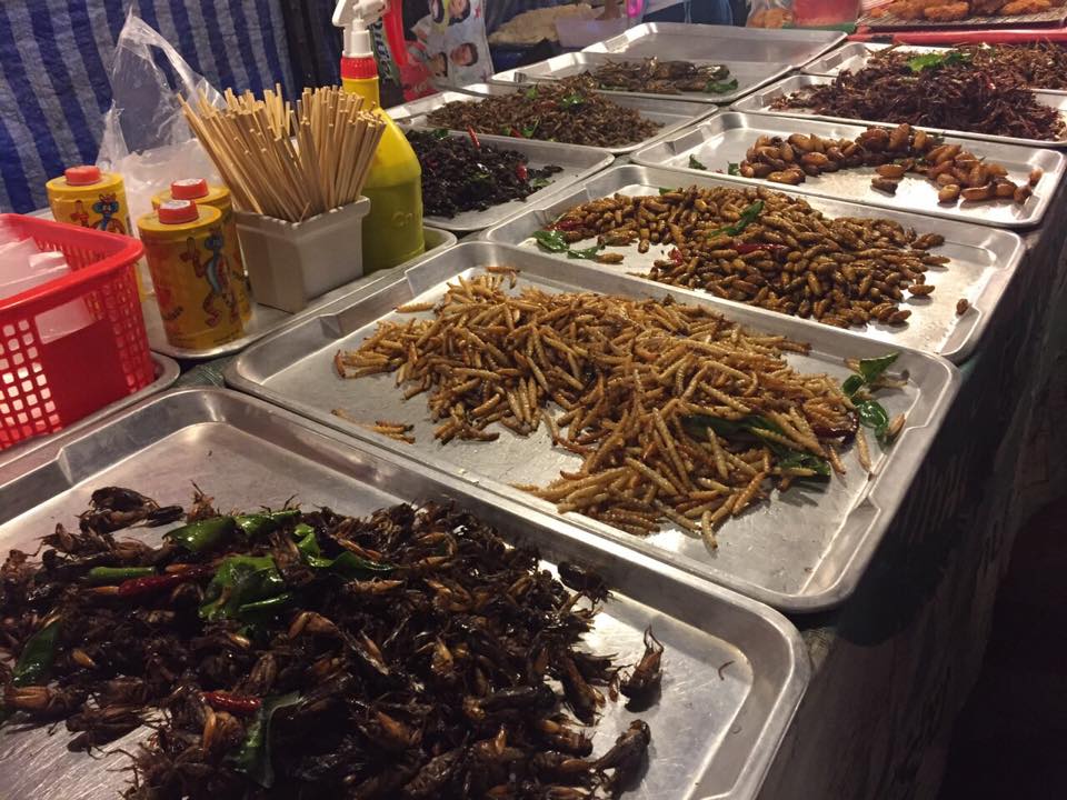 Insects: A Delectable Wonder - UF/IFAS Entomology and Nematology Department