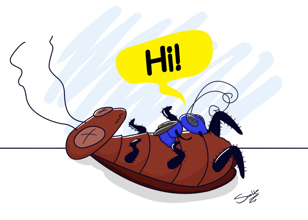 Real zombies are among us! - UF/IFAS Entomology and Nematology Department