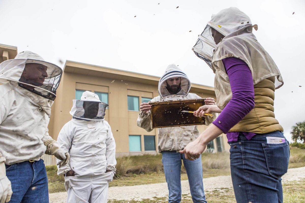 Honey Bee Lab - UF/IFAS Entomology and Nematology Department