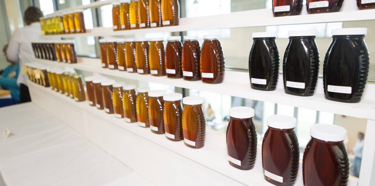 There's a new Bee College in town, and it's better than ever. - UF/IFAS ...