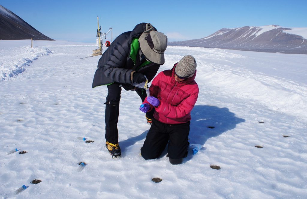 The Cryoconite Holes Project Returns to the Field - UF/IFAS Entomology ...