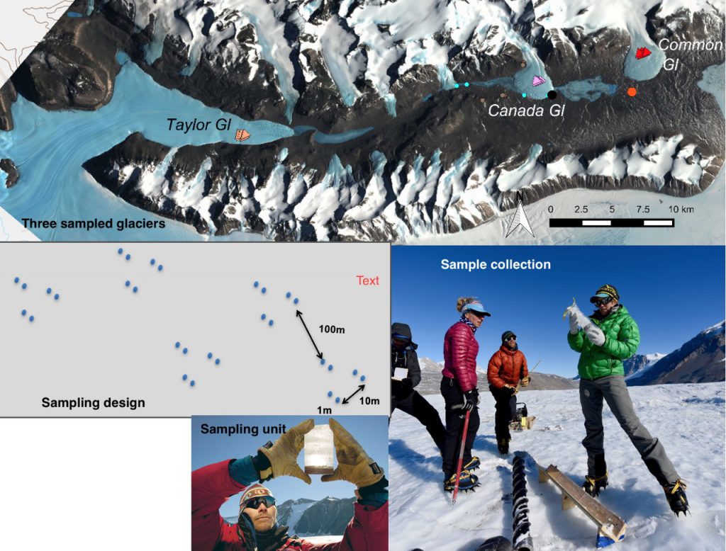 The Cryoconite Holes Project Returns to the Field - UF/IFAS Entomology ...
