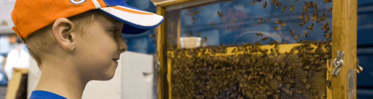 Honey Bee Lab - UF/IFAS Entomology and Nematology Department