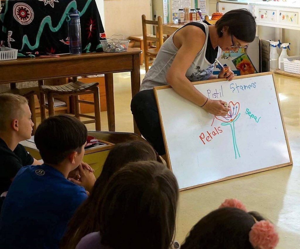 10 tips for teaching kids about bees - UF/IFAS Entomology and ...