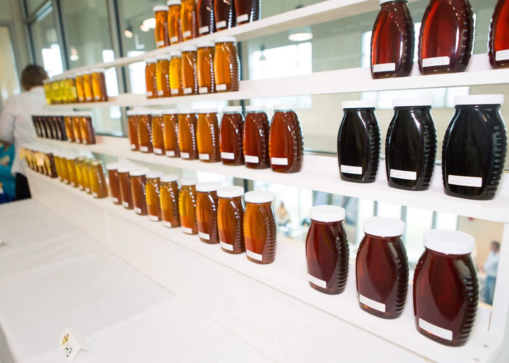 UF/IFAS Honey Bee Lab Workshops: Spring 2020 - UF/IFAS Entomology and ...