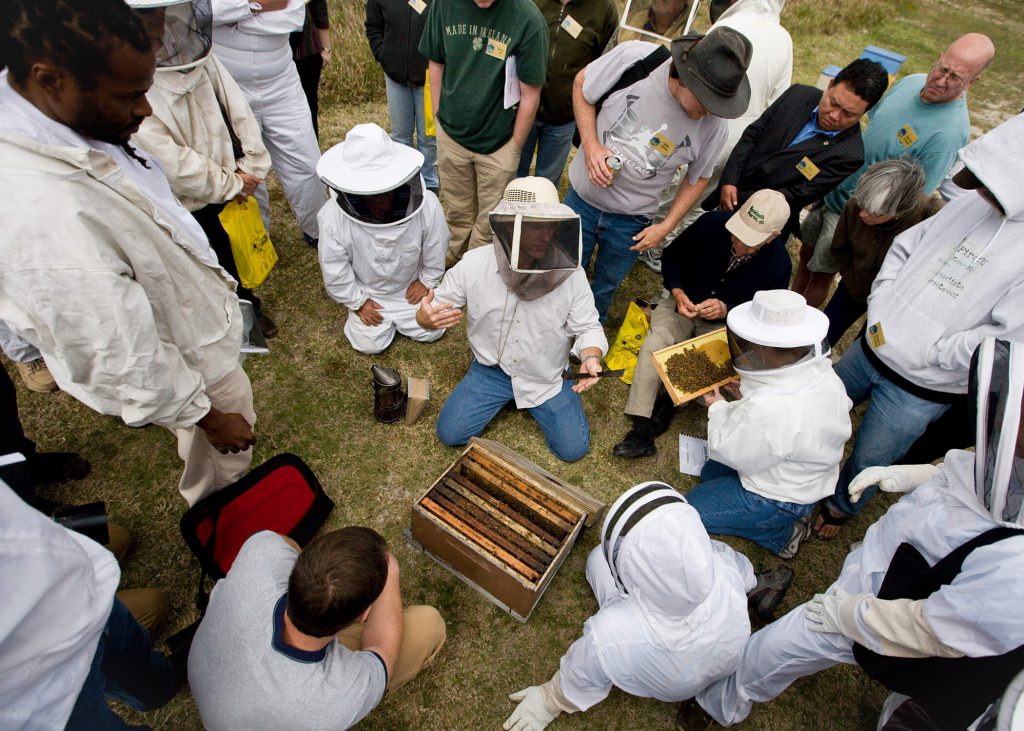 UF/IFAS Honey Bee Lab Workshops: Spring 2020 - UF/IFAS Entomology and ...