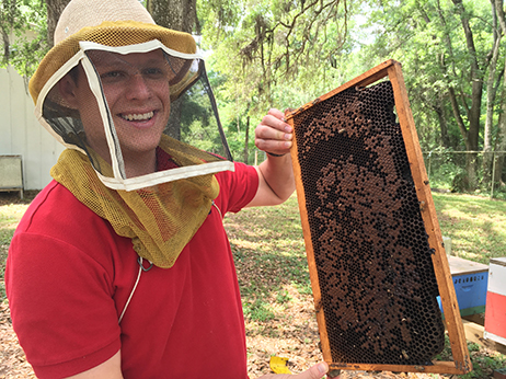 cjack, Author at UF/IFAS Entomology and Nematology Department