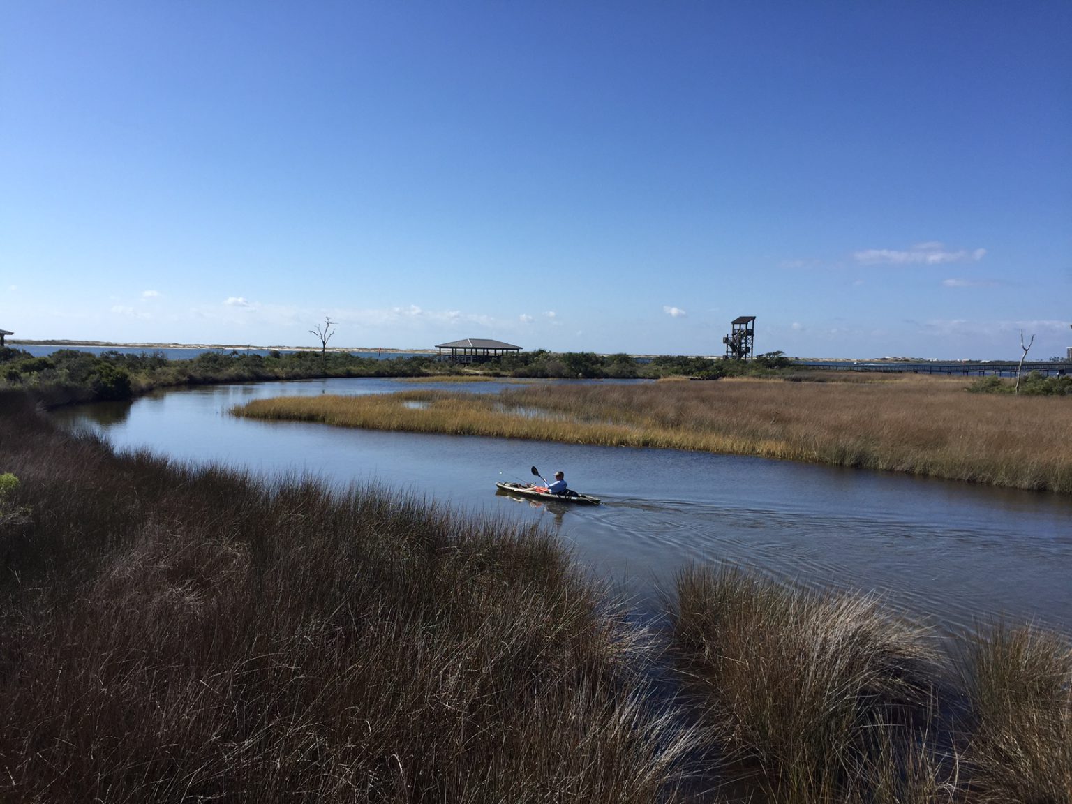 Weekly "What is it?": Marsh Periwinkle Snails - UF/IFAS Extension ...