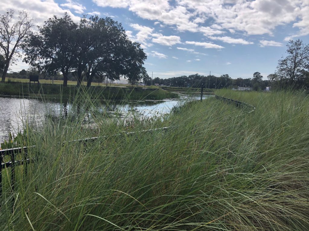 Weekly “What is it?”: Stormwater Ponds - UF/IFAS Extension Escambia County