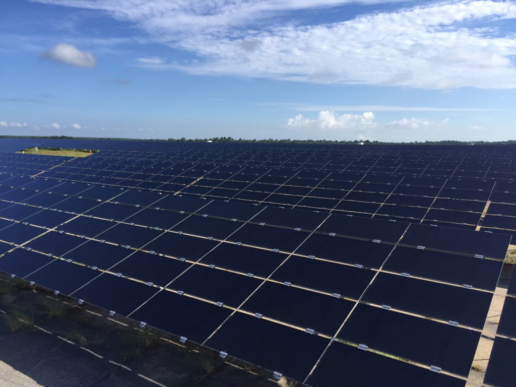 Weekly “What is it?”: Solar Trees - UF/IFAS Extension Escambia County