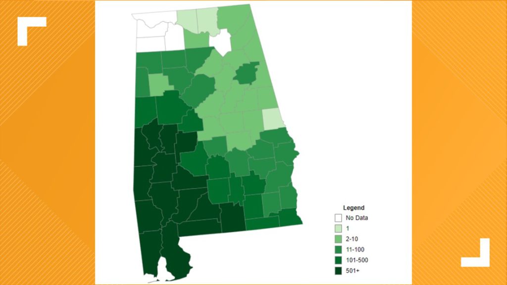 Weekly "What is it?": Cogongrass - UF/IFAS Extension Escambia County