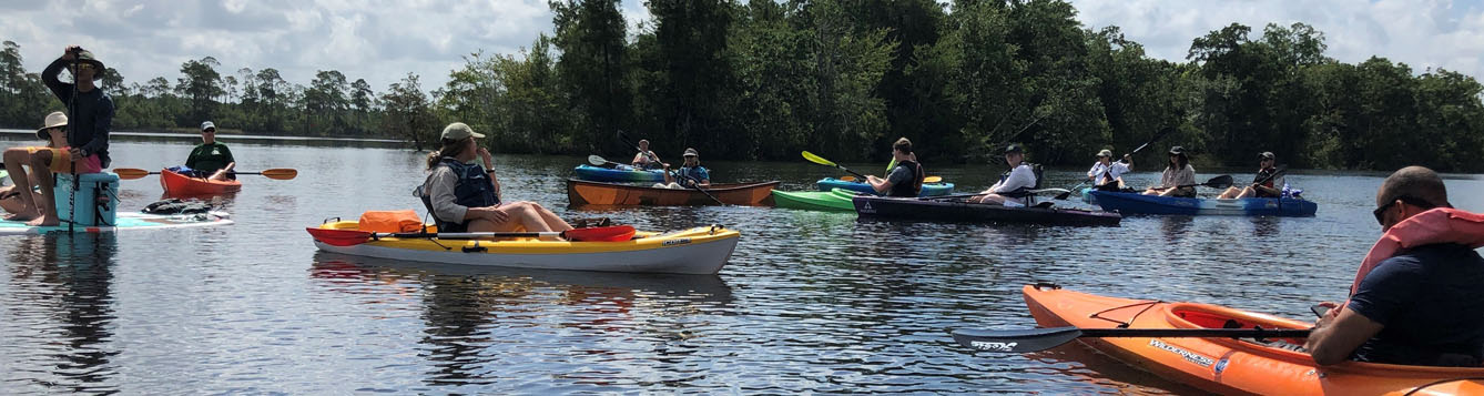 Weekly "What is it?": Florida Master Naturalist Program - UF/IFAS ...