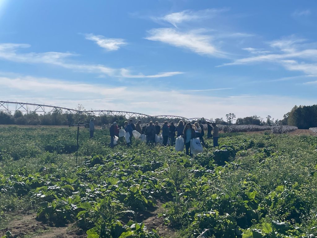 Weekly "What is it?": Farm-City Week - UF/IFAS Extension Escambia County