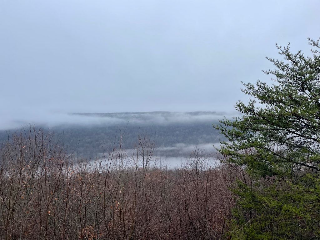 Weekly "What is it?": Fog - UF/IFAS Extension Escambia County