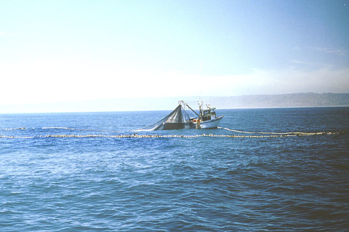 Exploring the Gulf of Mexico; Part 6 – Life in the Deep Blue - UF/IFAS ...