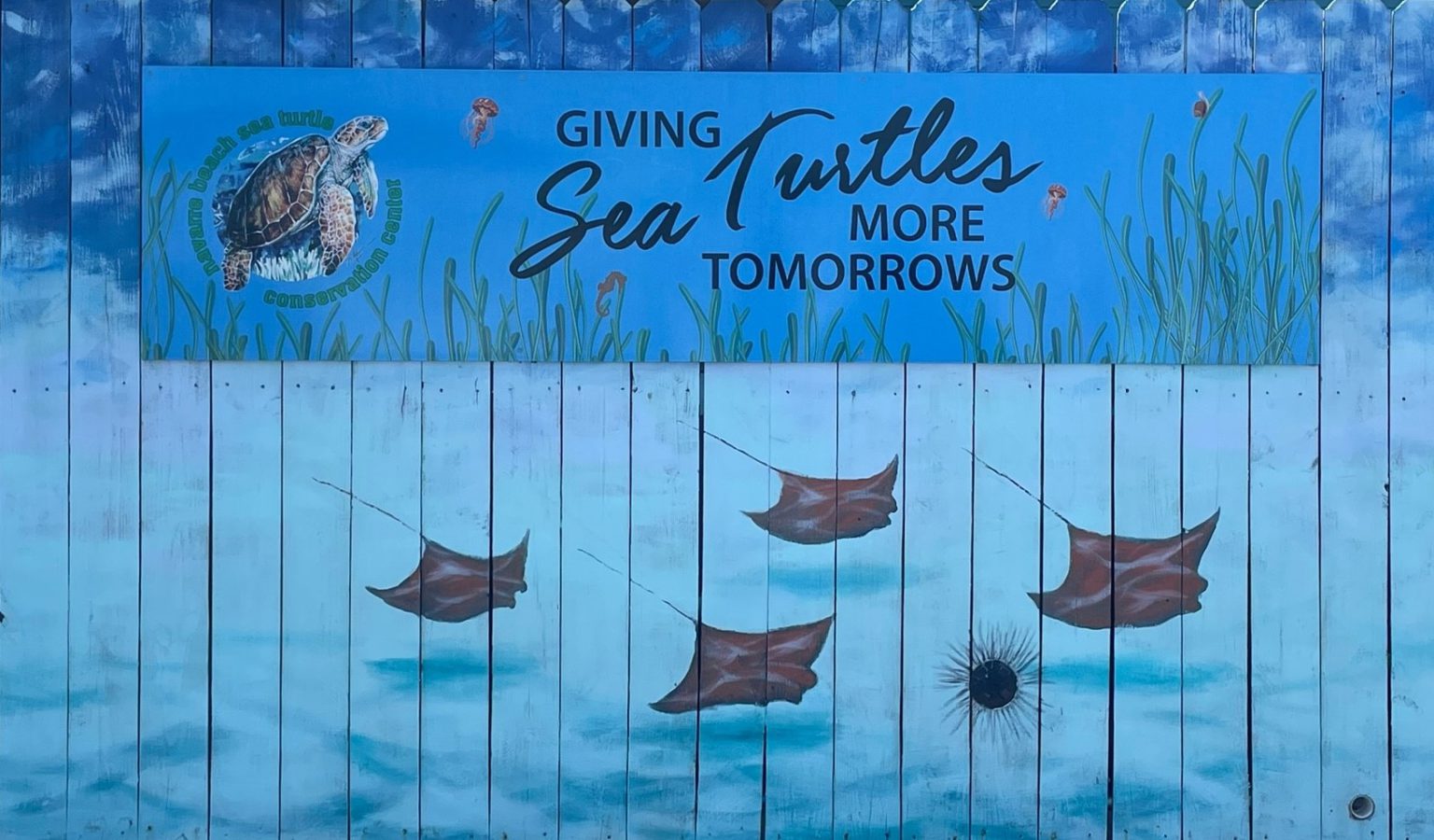 Weekly "What is it?": Navarre Beach Sea Turtle Conservation Center - UF ...