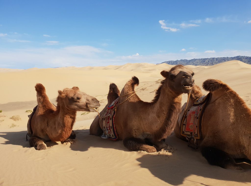 Weekly "What is it?": Petrichor - UF/IFAS Extension Escambia County