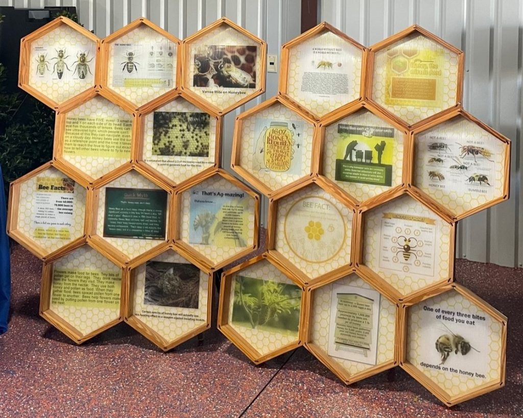 Weekly "What is it?": Native Bees - UF/IFAS Extension Escambia County