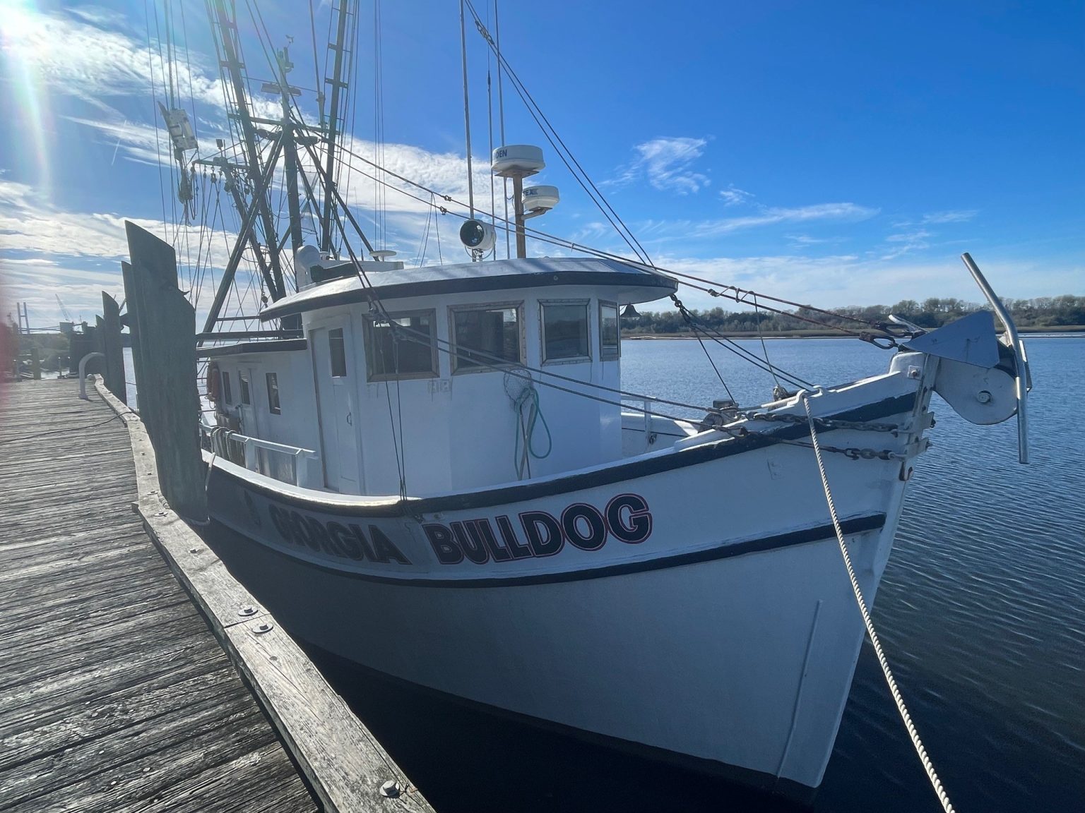 Turtle Excluder Devices (TEDs) - UF/IFAS Extension Escambia County