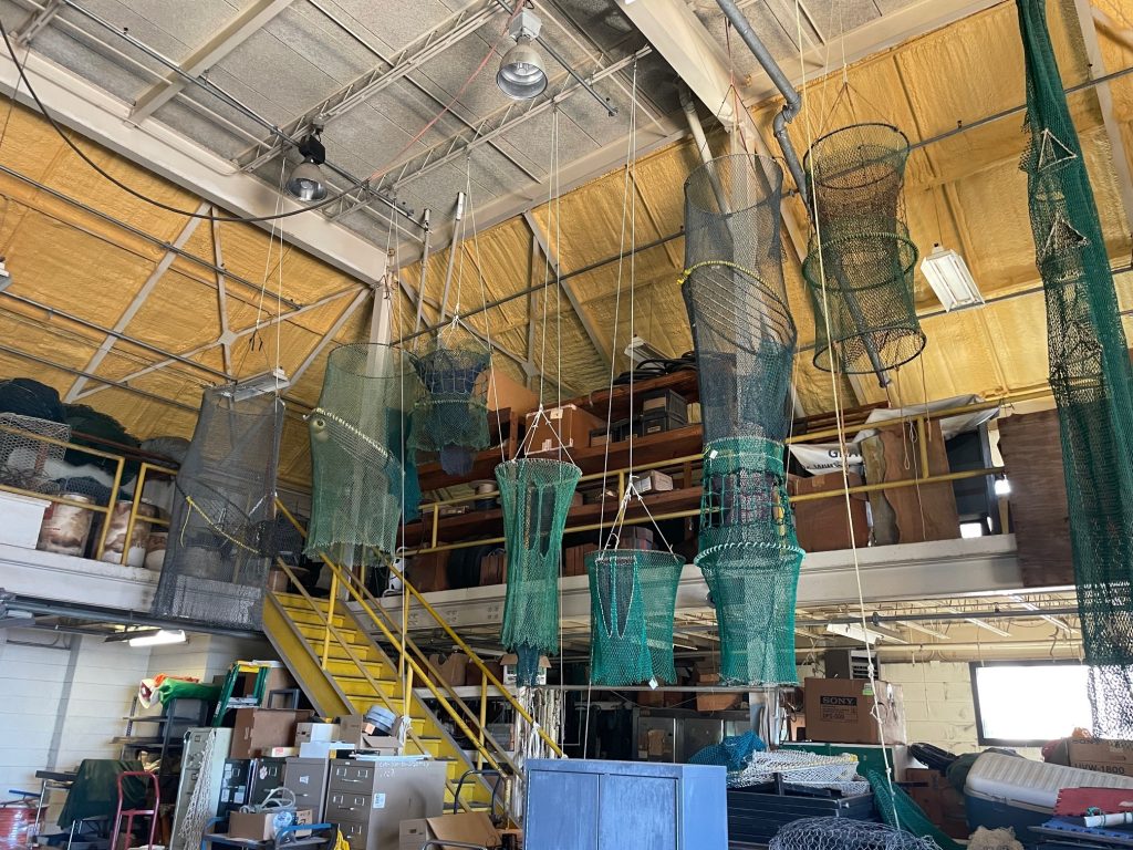 Turtle Excluder Devices (TEDs) - UF/IFAS Extension Escambia County