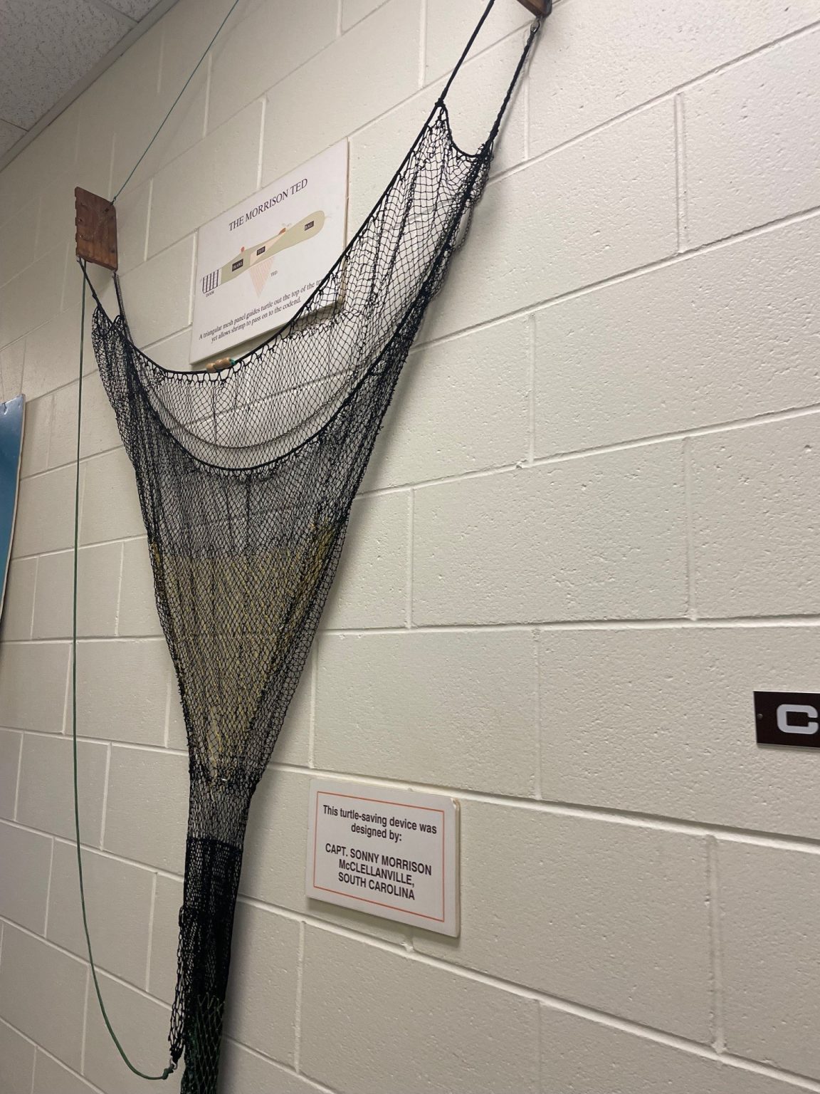 Turtle Excluder Devices (TEDs) - UF/IFAS Extension Escambia County